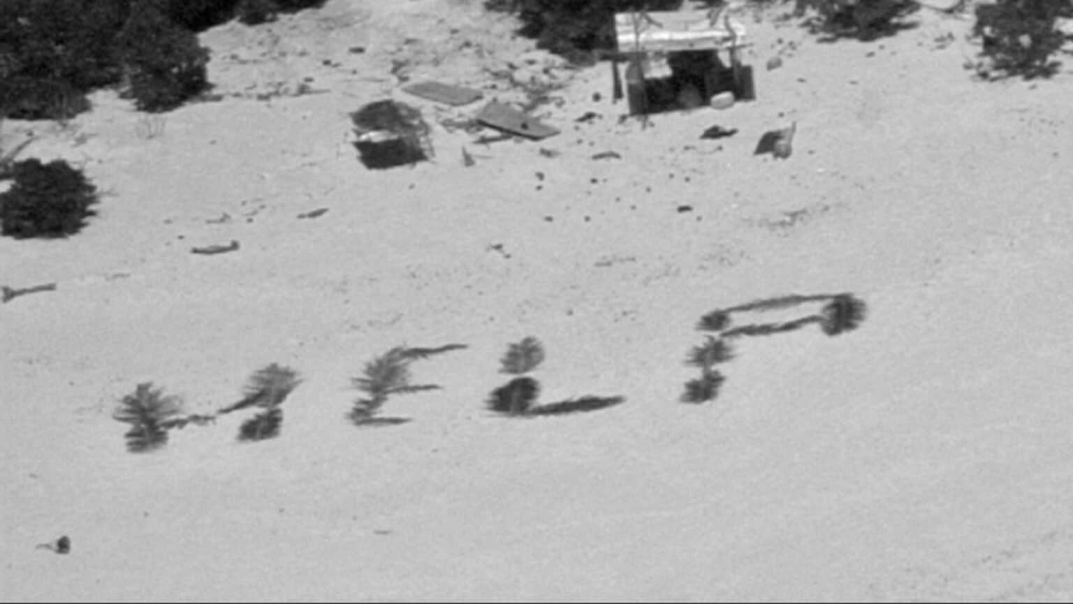 Coast Guard Rescues 3 Mariners Lost On A Deserted Island Cirrkus News