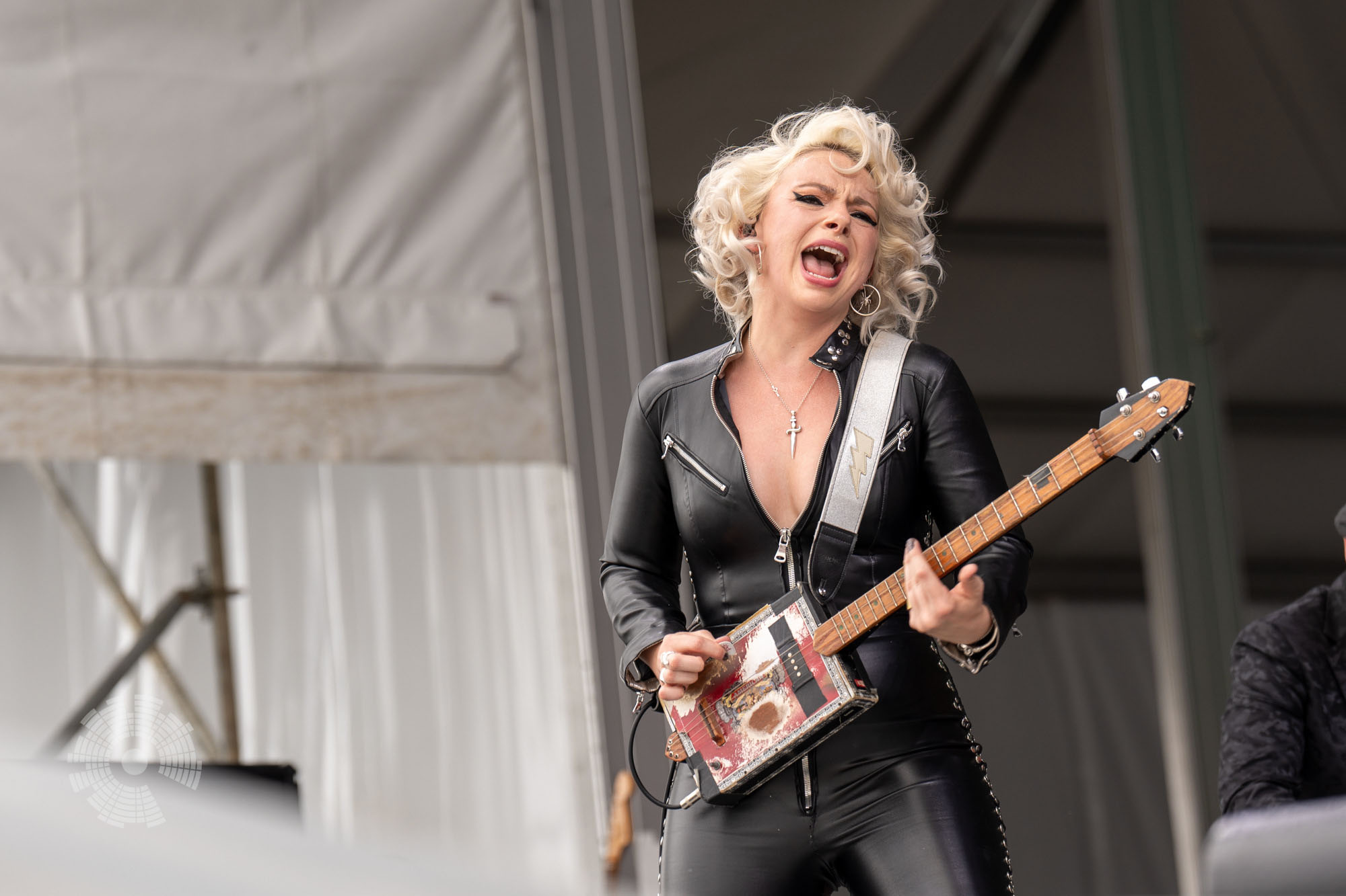 Foo Fighters, Neil Young & More - Cirrkus News Foo Fighters, Neil Young & More - Cirrkus News